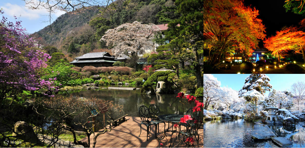 [Hakone In-depth Tour] Hakone Shrine, Sengokuhara, Hakone Yumoto Hot ...